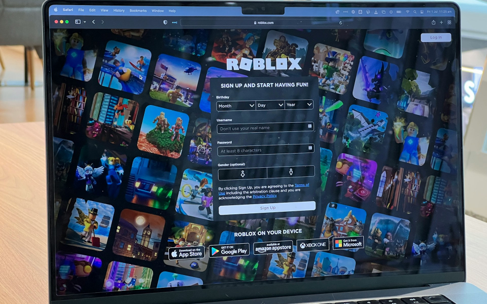 Roblox's Investor Day Sparks Analyst Optimism: Highlight Projected Bookings Growth And Margin ...